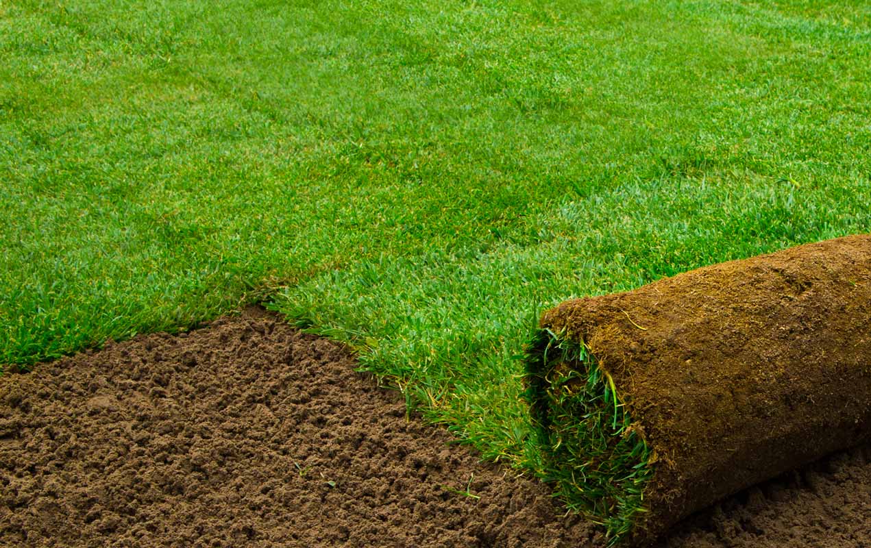 Services – Big Bend Landscaping – Tallahassee Landscapers